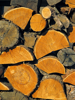 Darío Escudero - Blog Gastronómico: Entre brasas