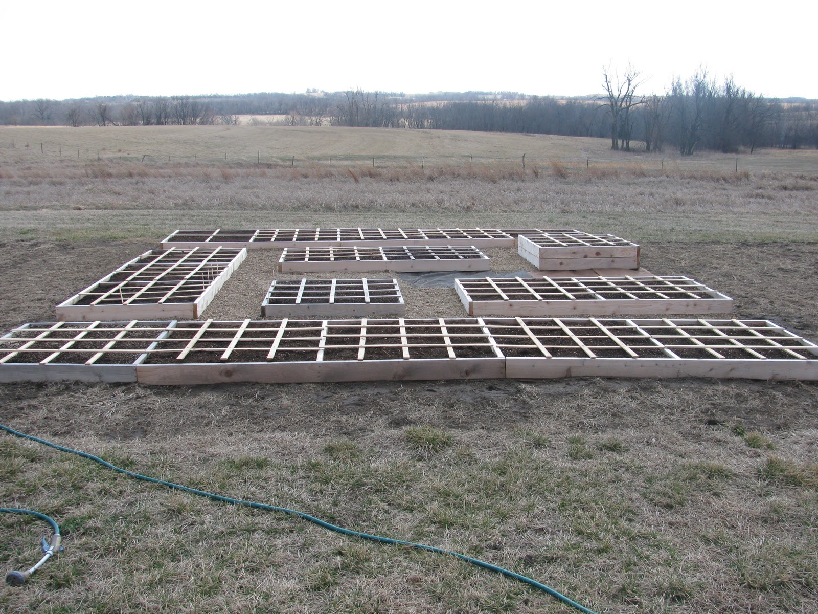 The Harried Homemaker Preps: My Top Five Prepping Successes of 2011