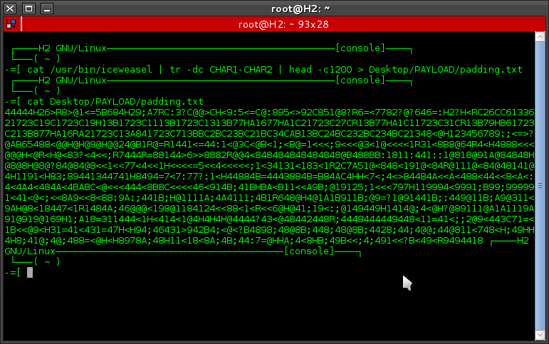 Generate Custom Shellcode Executable