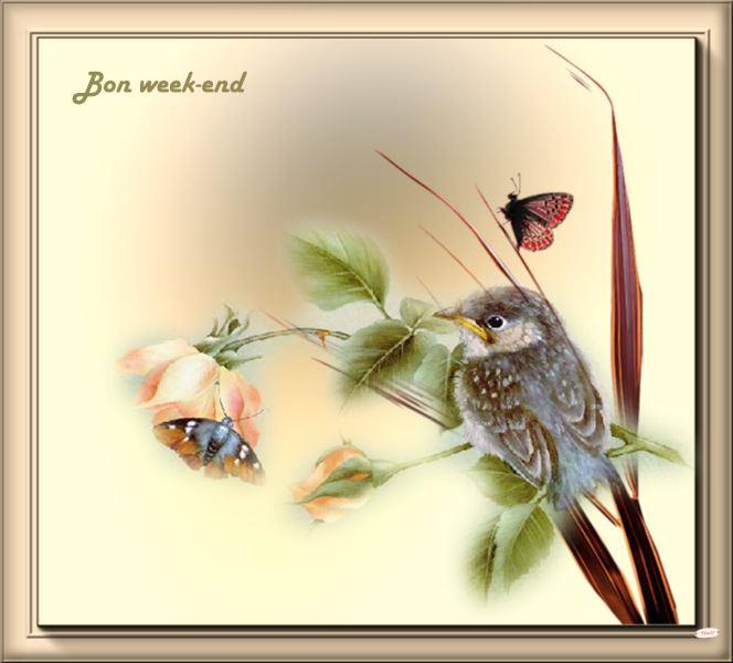 Mes créations pps et cartes virtuelles: Bon week-end