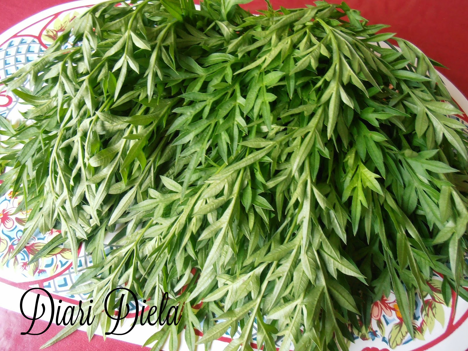 DIARI DIELA: Kerabu Pucuk Ulam Raja