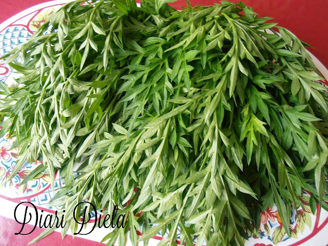 DIARI DIELA: Kerabu Pucuk Ulam Raja