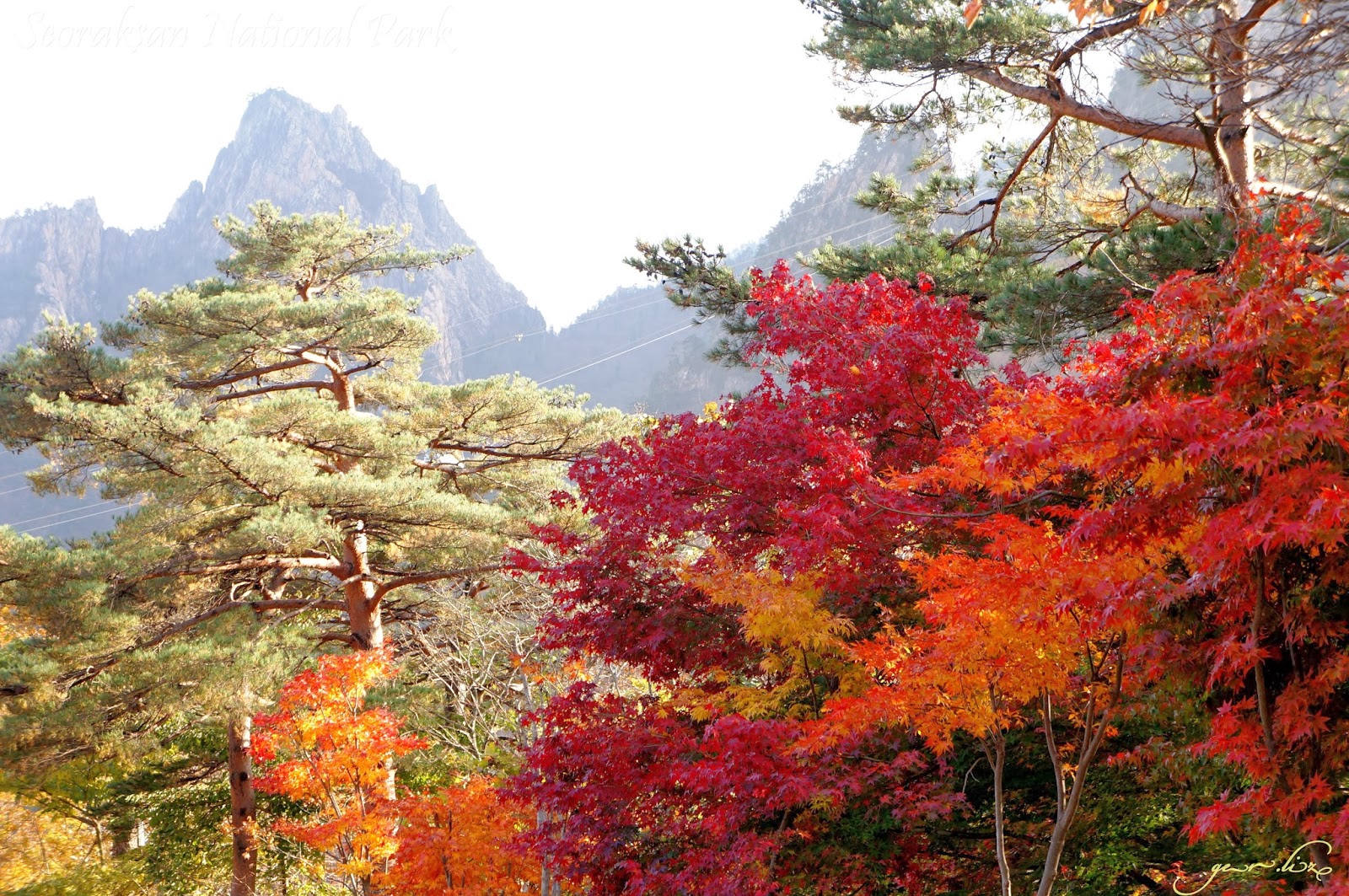 A Day in Seoraksan National Park | Trips... by Liz