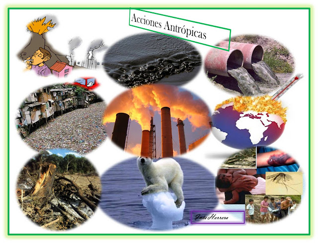 Desarrollo sustentable ASG: El escenario modificado.