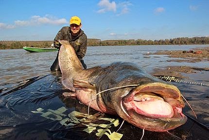 Please enable JavaScript