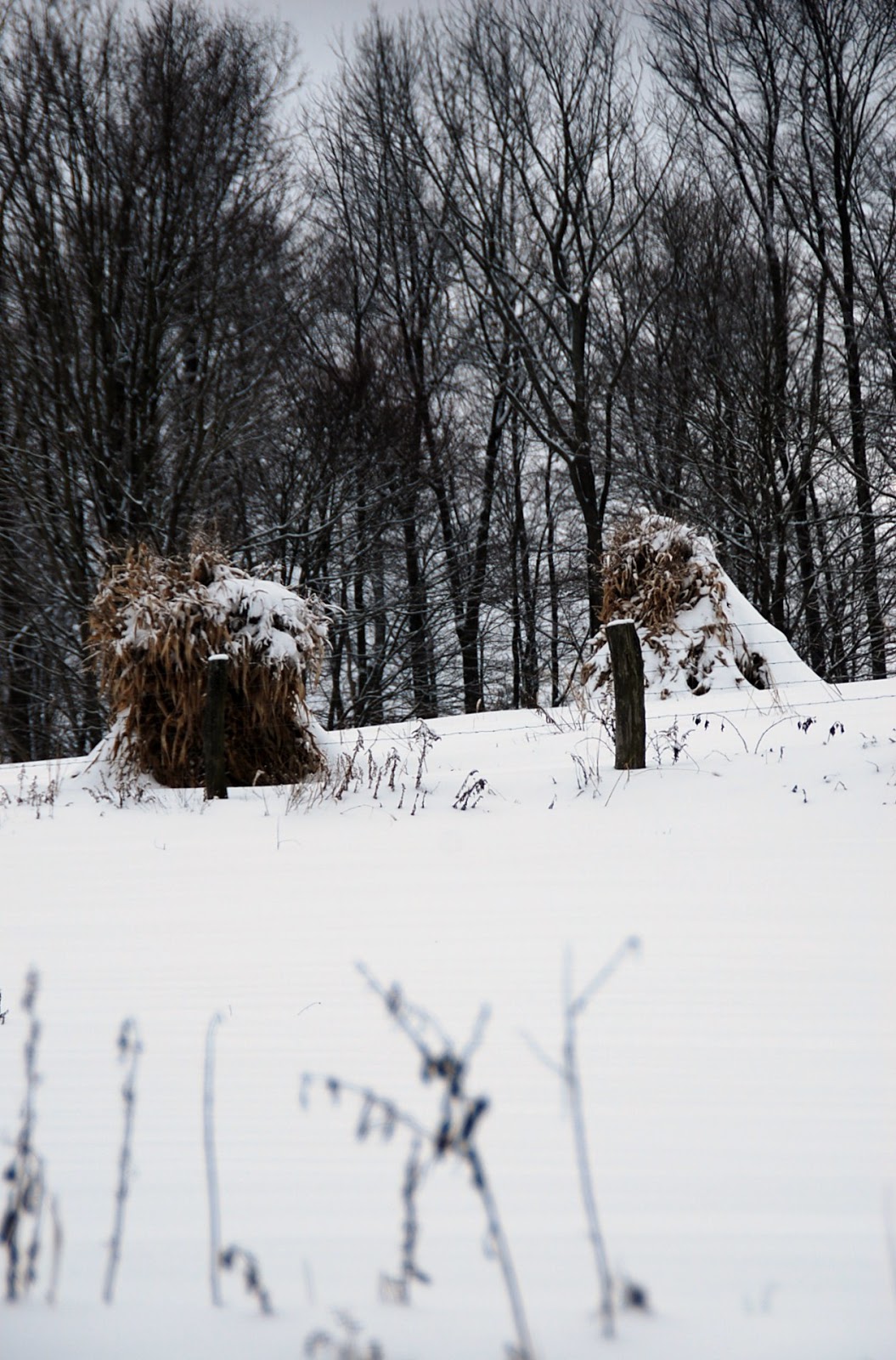 Amish Crossings with Karen Anna Vogel: Amish Winter Pictures shot in ...
