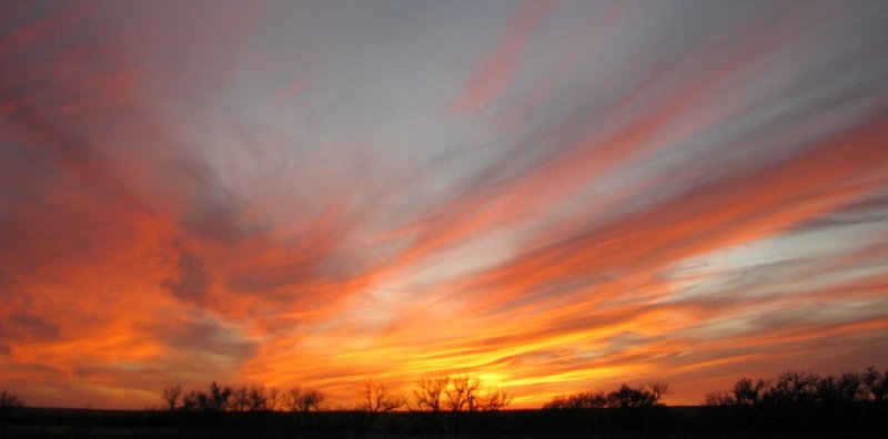 Wandering His Wonders: Beaver, Oklahoma - Cow Chip Capital of the World