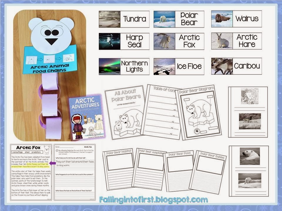 Arctic Adventures | Falling into First