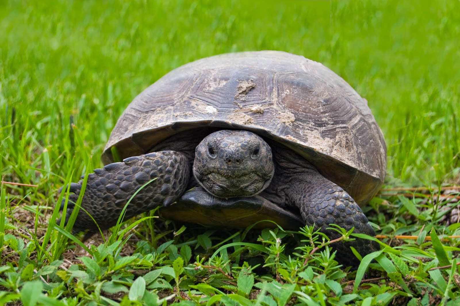 Musings for the potting shed...: Leaving our mark