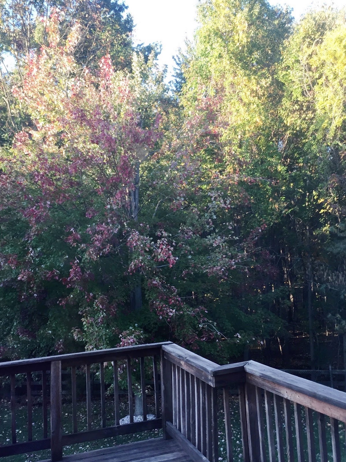 33 Reasons Why Fall Is The Best Season | D. Simone Beauty