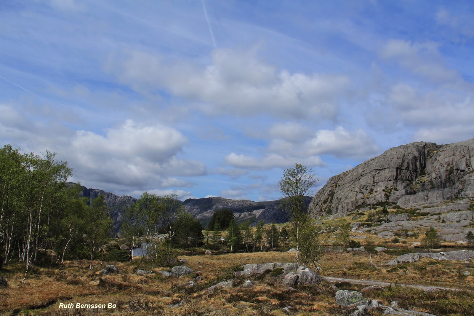 solsikken: Fossmark. Forsand Kommune