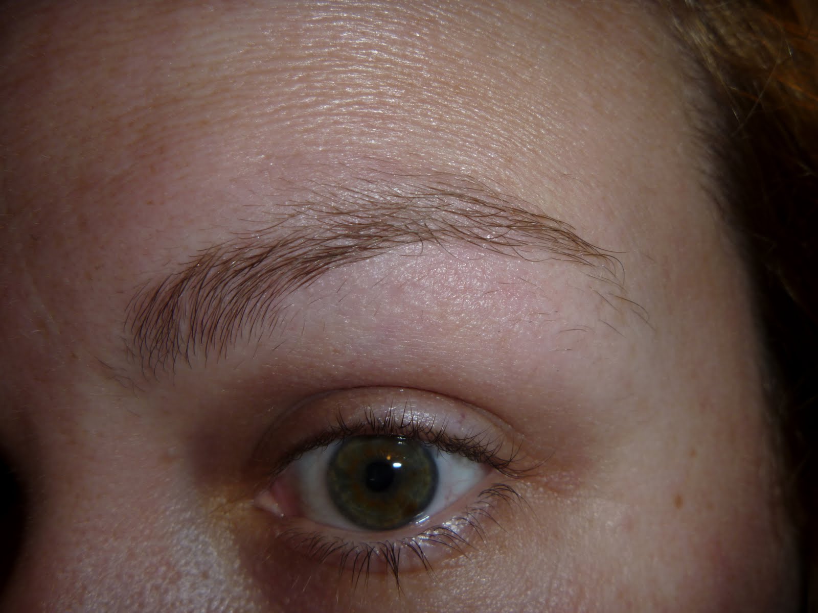 Glitter N' Glam - Makeup By Chrissy: NYX Eyebrow Cake Powder - Review ...