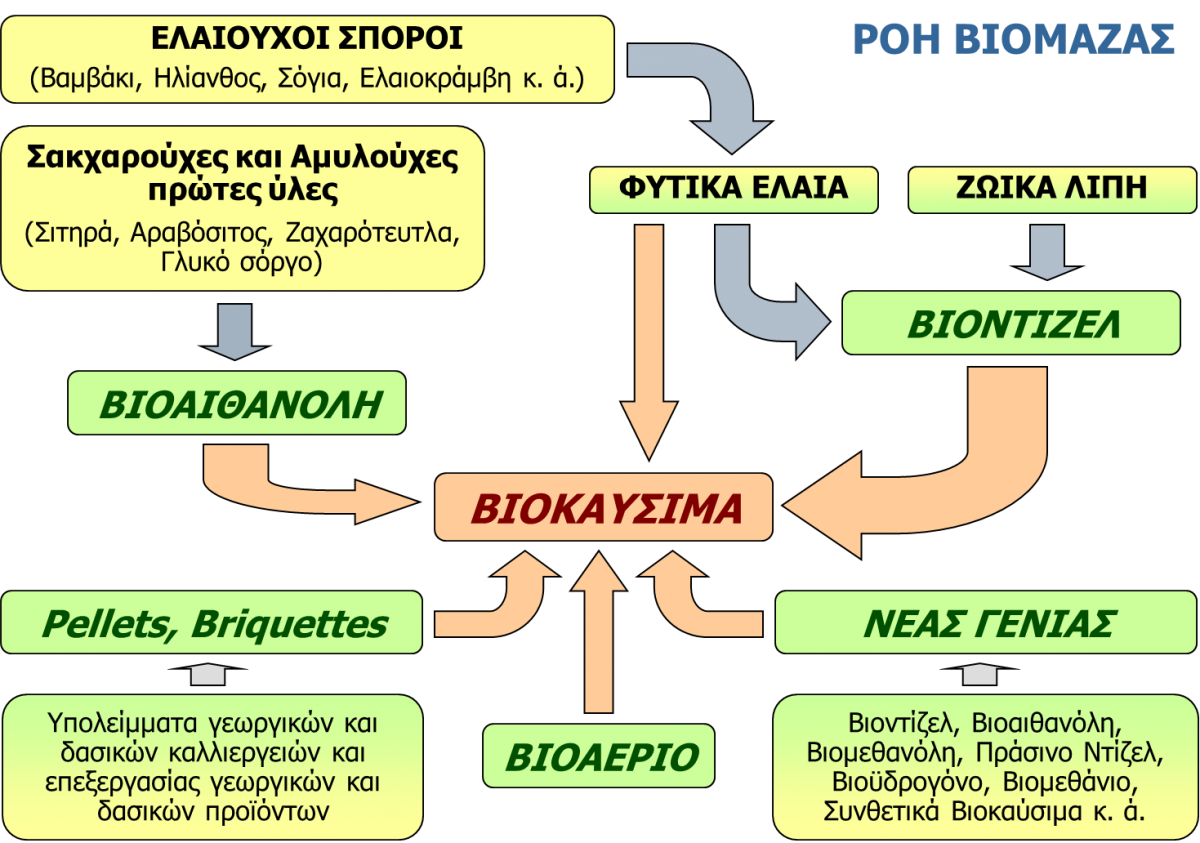 Αειφόρος Παραγωγή και κατανάλωση Γ1: ΒΙΟΚΑΥΣΙΜΑ