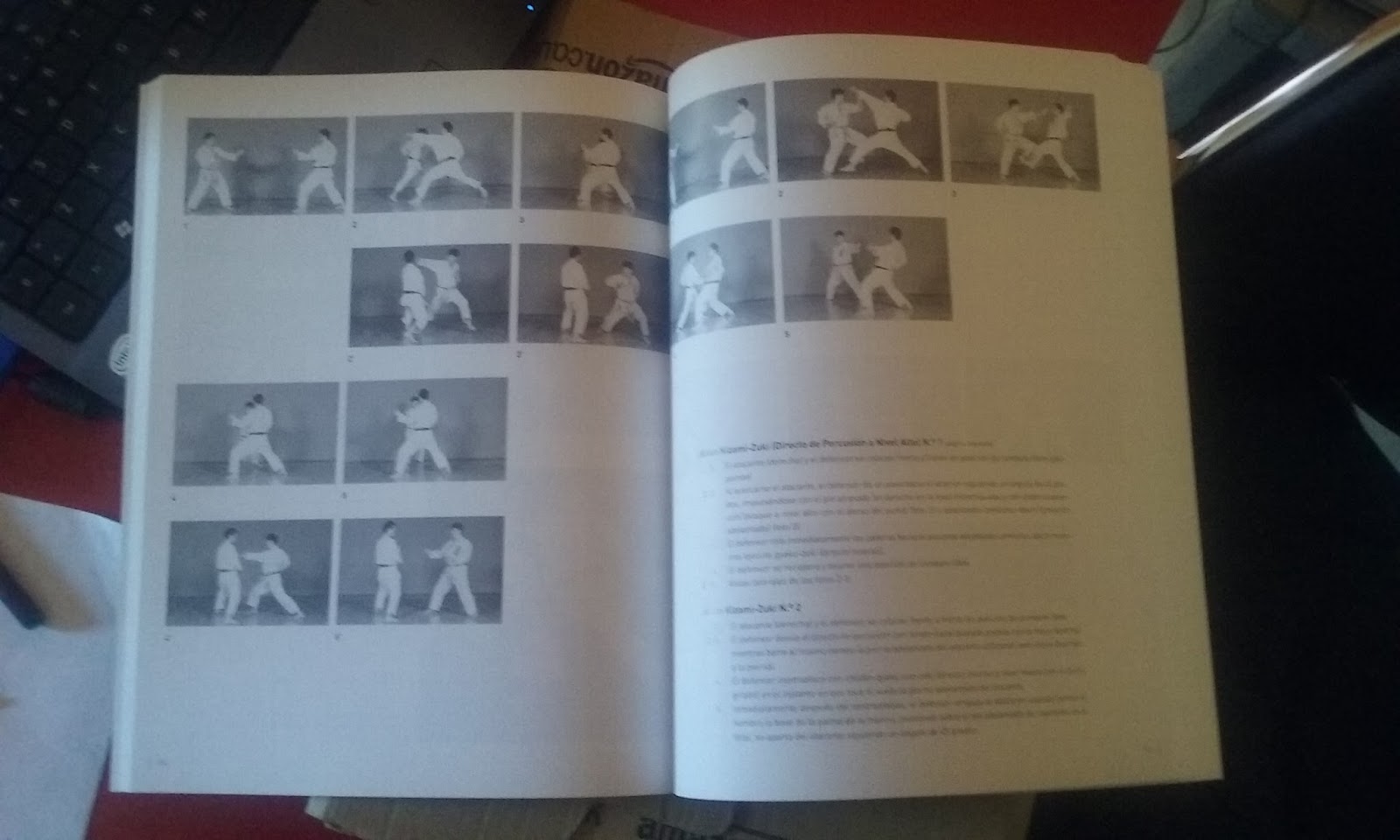 Libro : Manual Completo de Kumite. Técnicas de Combate de Kárate ...