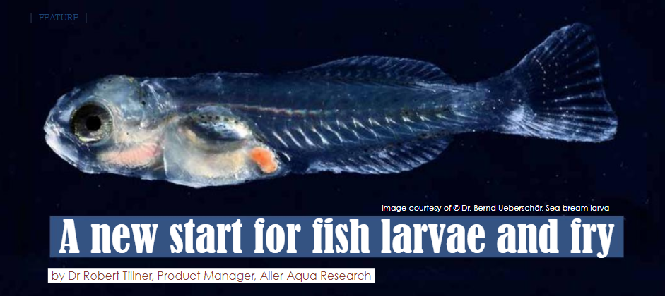 The Aquaculturists: A new start for fish larvae and fry