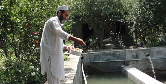 Swat Trout Farms : Struggling to stay afloat | Pakistan Defence