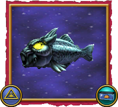 Wizard101 Avalon Fish School, Location, XP, Rank, and Tank Size Guide ...