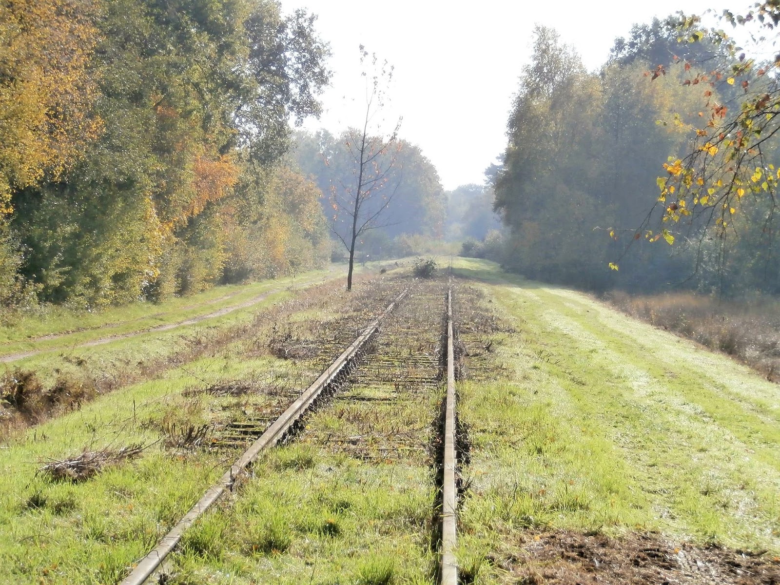 Mooiste Routes: Wandelen bij Winterswijk Woold (Gelderland)