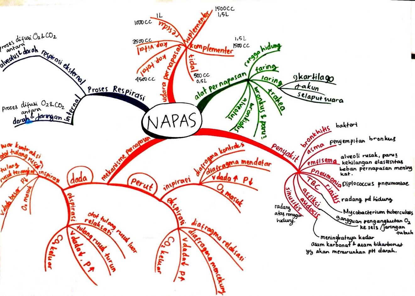 Mind Map PDP (Persamaan Diferensial Parsial)