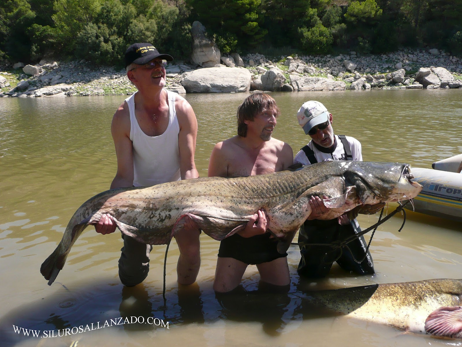 PESCA DEL SILURO EN EL EBRO: SILUROS GIGANTES DEL RÍO EBRO