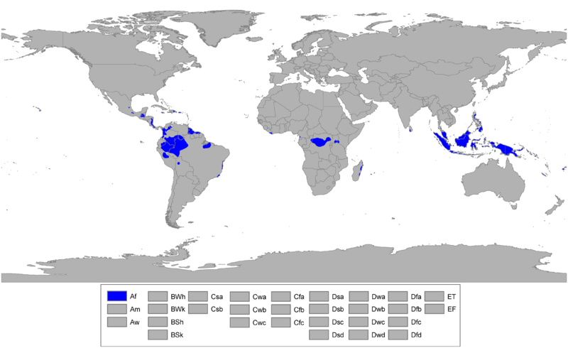 Geo 5 - Equatorial Climates: Equatorial Climates