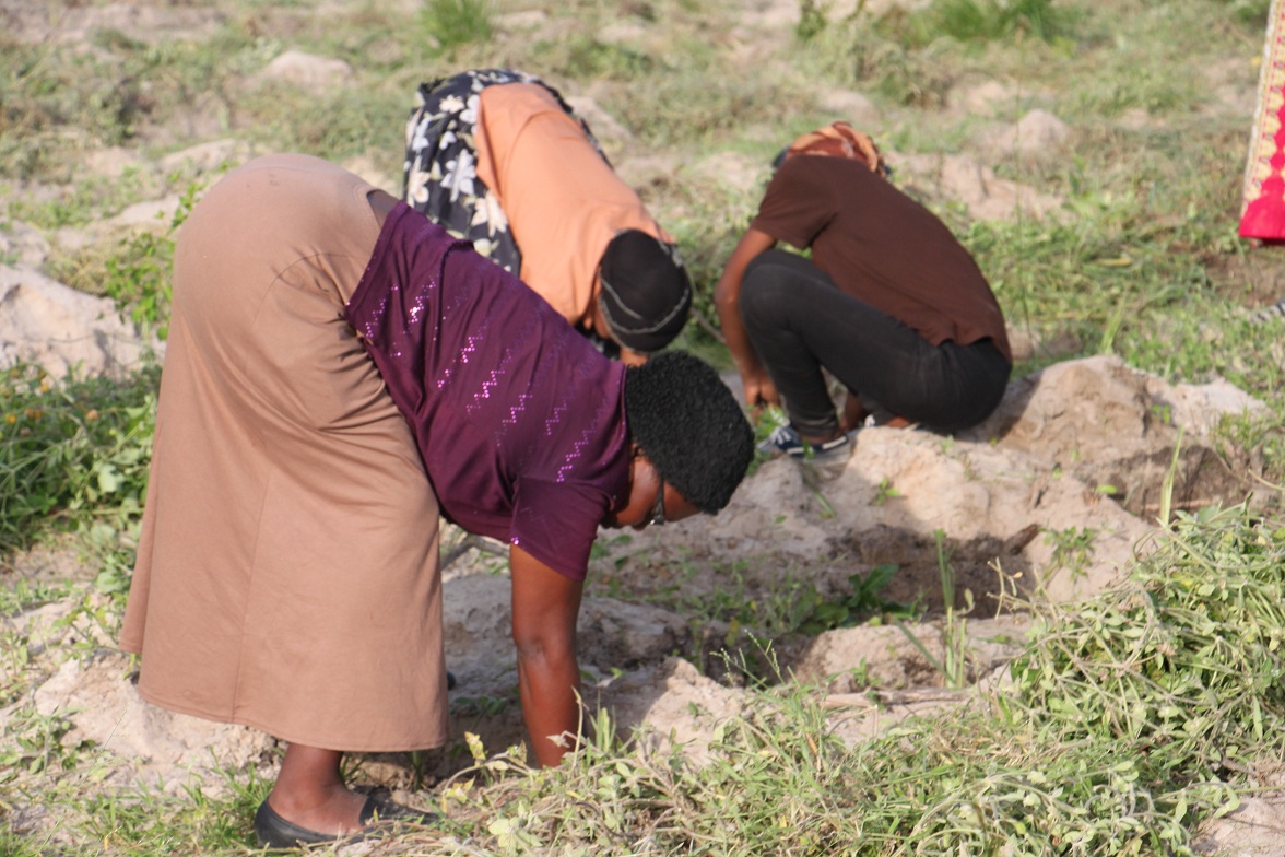 OFISI NZIMA YA MKIKITA WAHAMIA SHAMBANI VIKINDU KUPANDA MCHAICHAI