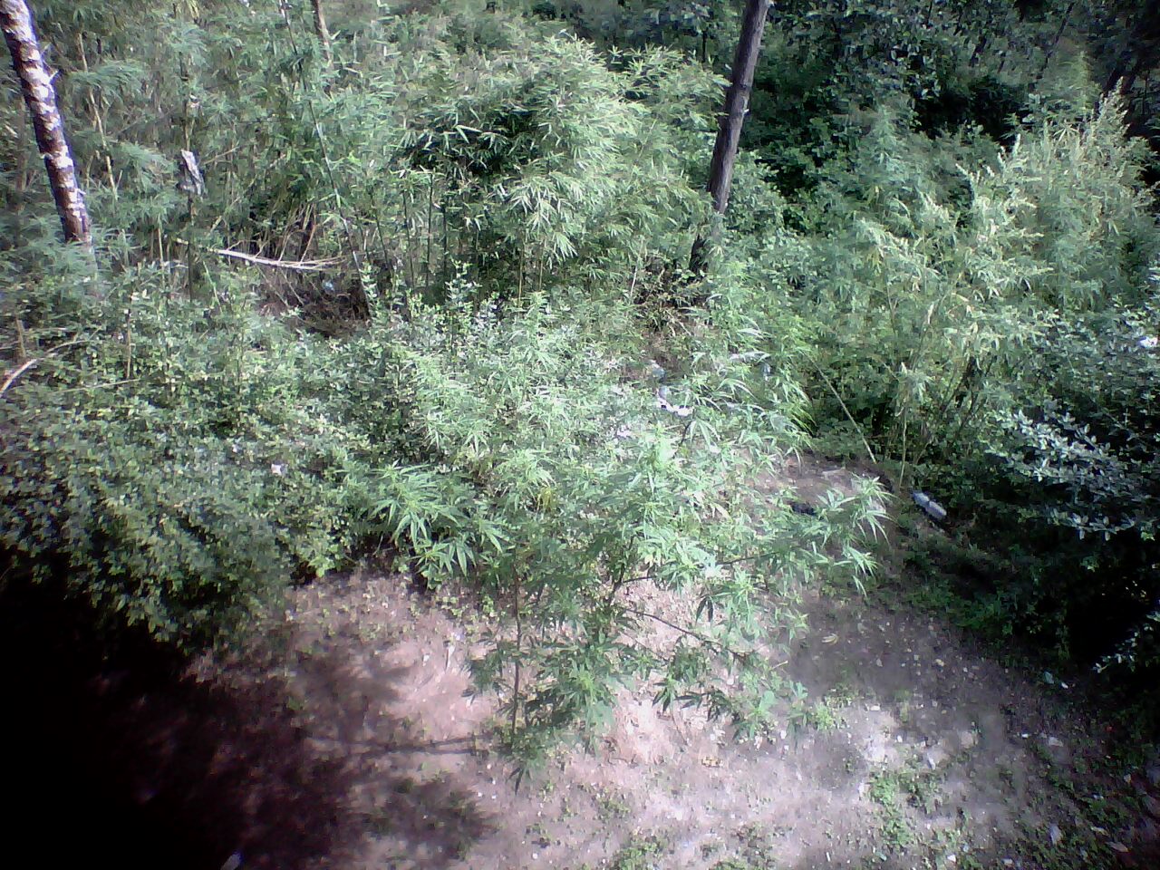 Nepal: A Tourist's Manual: Surviving Culture Shock