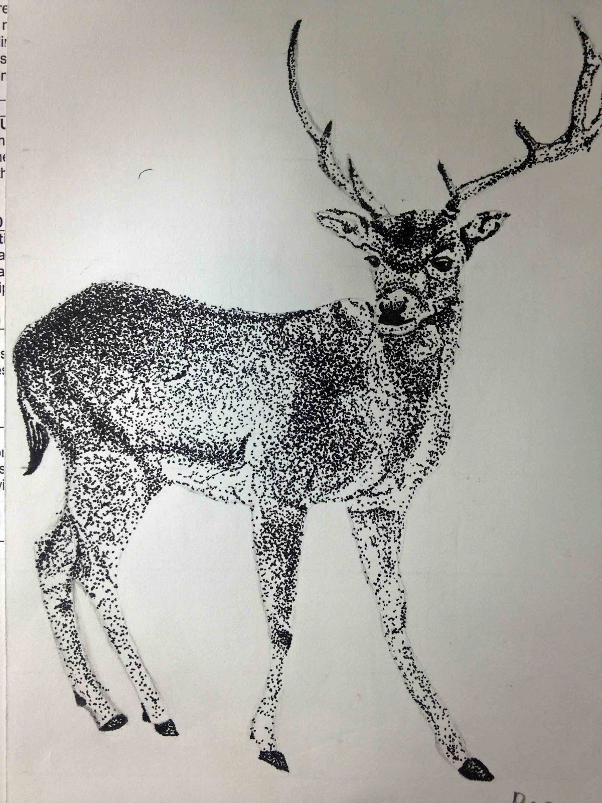 art @ the heart: Grade 9-10 Stipple Animals 2013 (AVI1O-AVI2O)