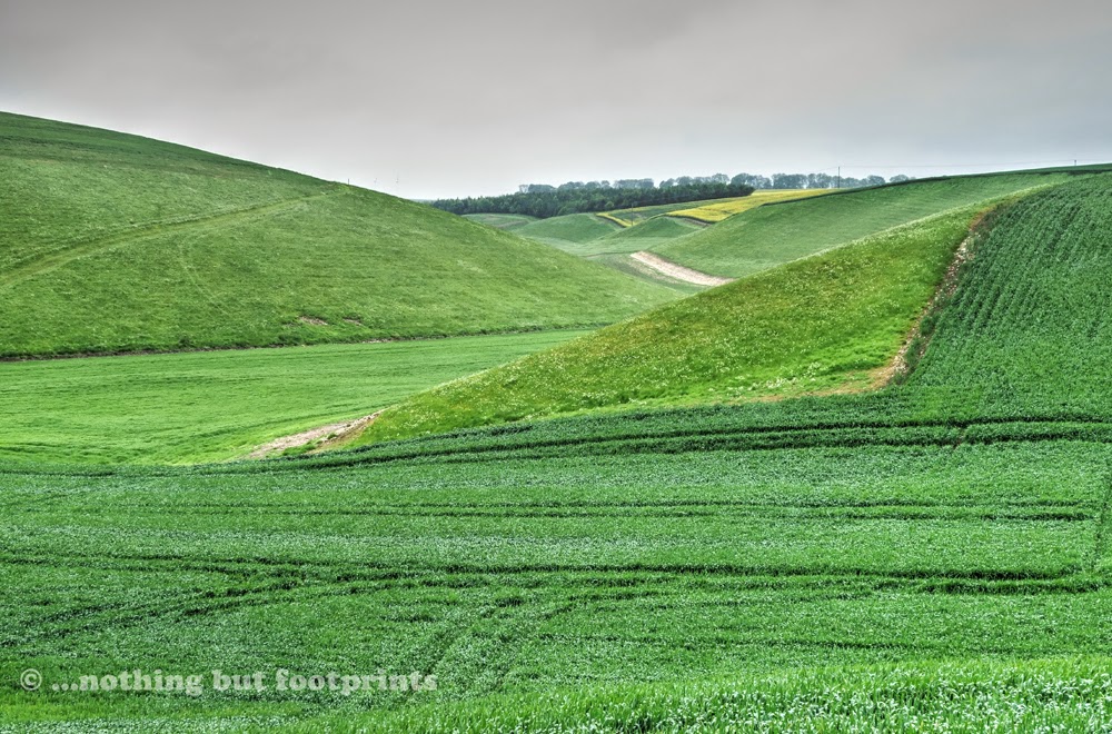 ...nothing but footprints: The Yorkshire Wolds Way - Day Six - Ganton ...