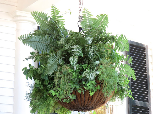 JLL DESIGN: Window Box Ideas & More Garden Inspirations