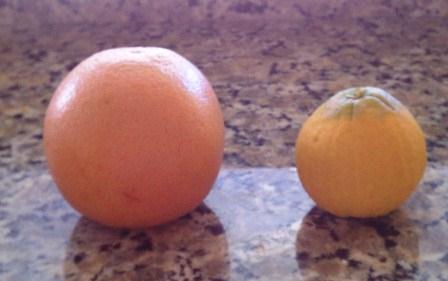 Grapefruit Size