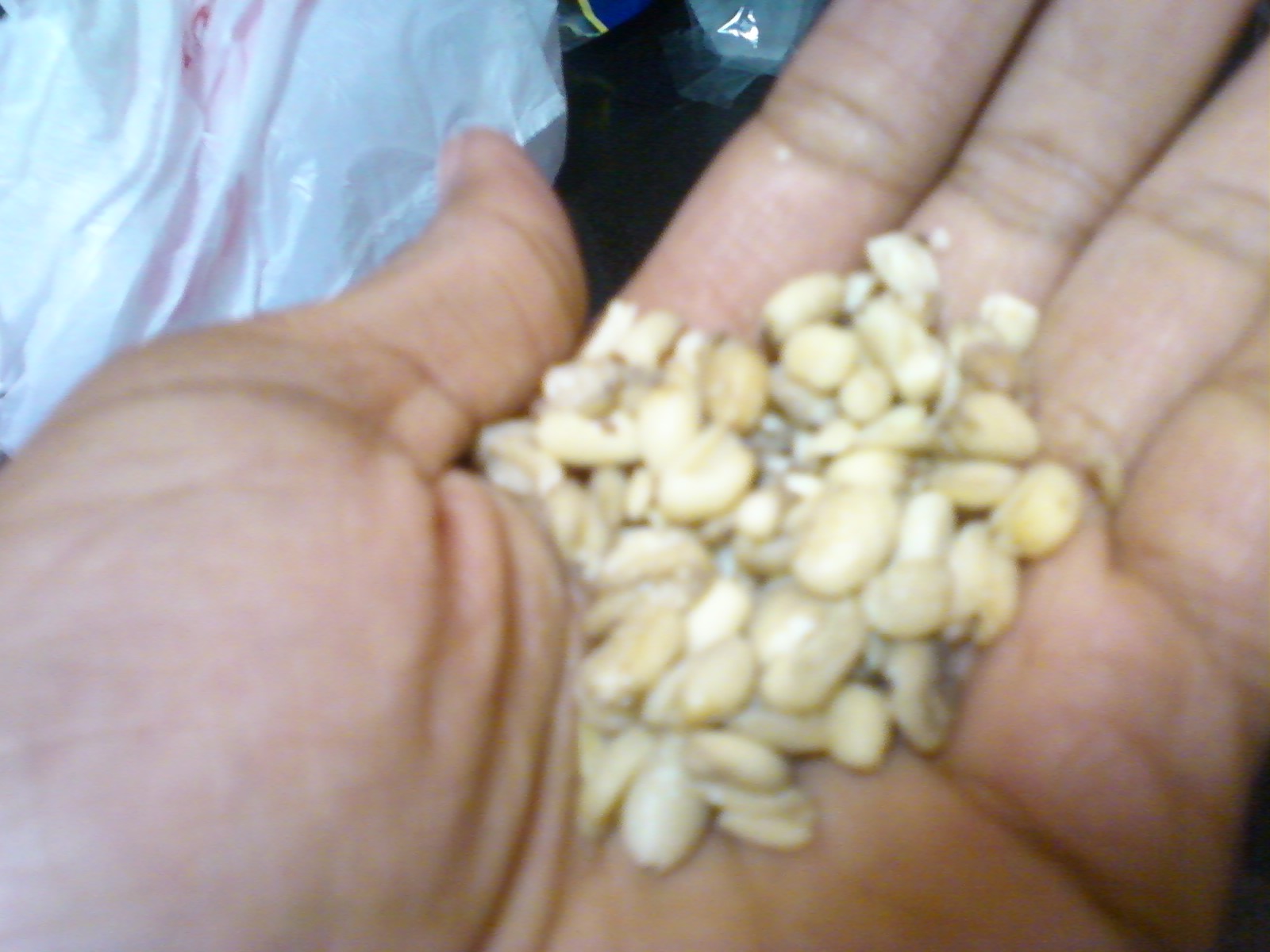 Ukwa "African Breadfruit Seeds" a best friend for a person with Diabetes