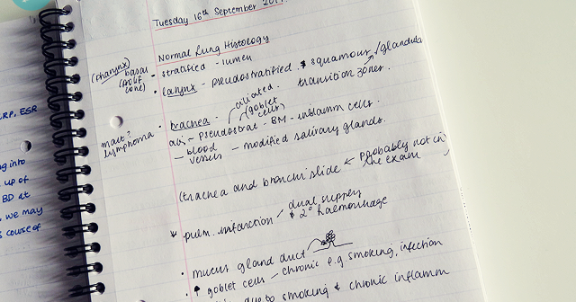 Paper Lovestory { a lifestyle blog from a university student about ...