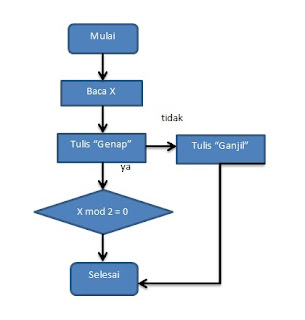 Review Algoritma ~ Materi Pemrograman Terstruktur