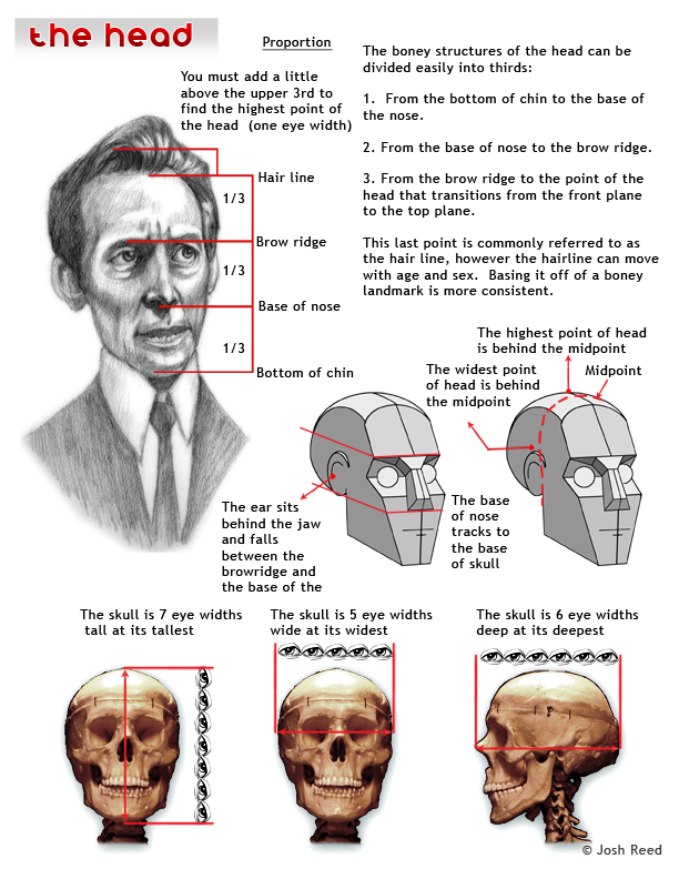 Drawsh: The Head pt. 2