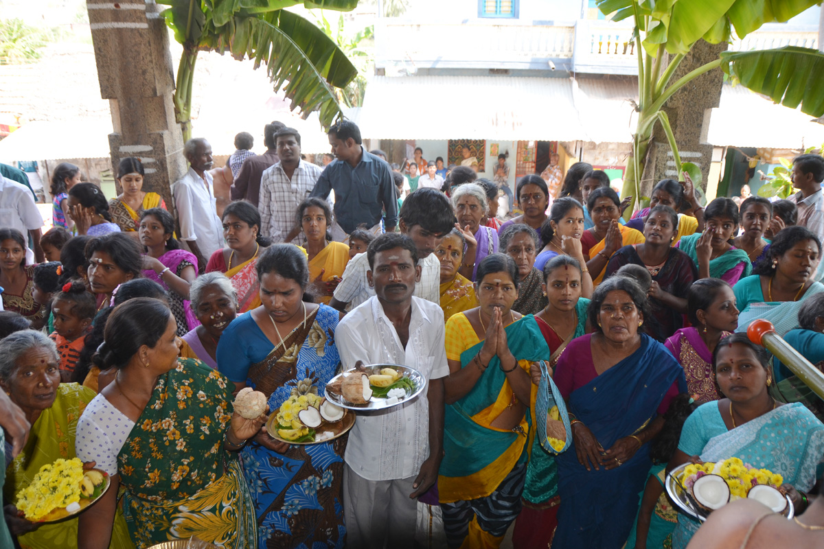 Uthrayana puniyakalam 2016: Thamari Kulam - ARUNACHALA GRACE