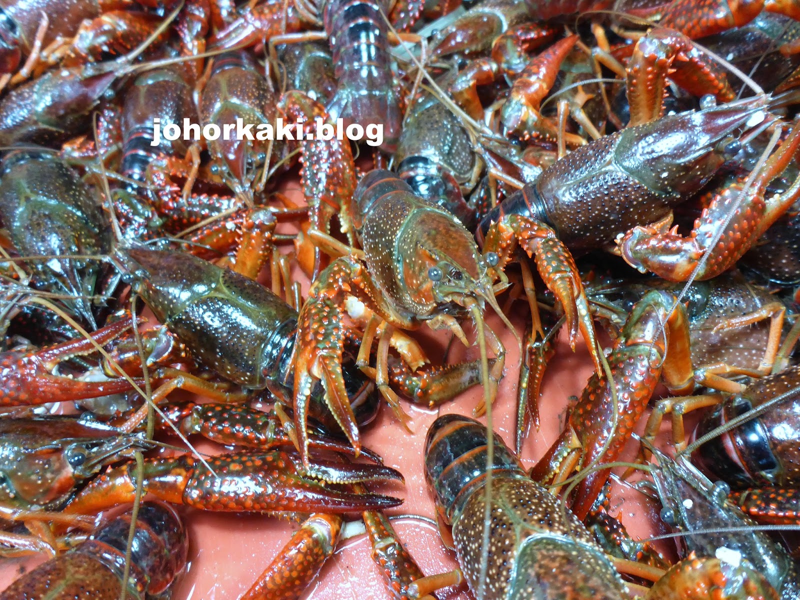 Bali Lobster Delicious in Crayfish Crazy Wuhan. Food 巴厘龙虾(万松园) |Tony ...