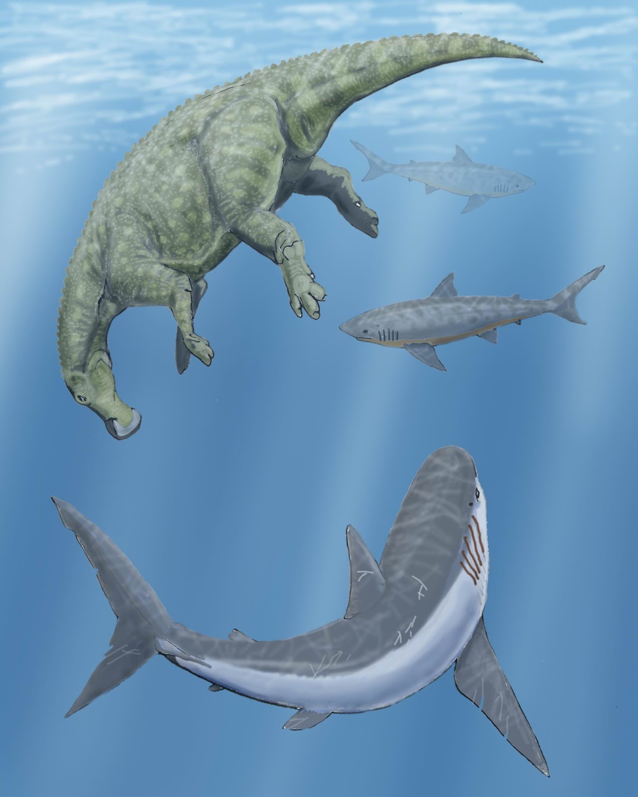 Extinct Animal of the Week: The Changing Shark Body Plan
