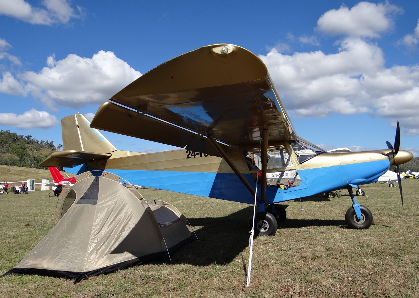 Air Queensland.blogspot: A quick look at the ICP Savannah