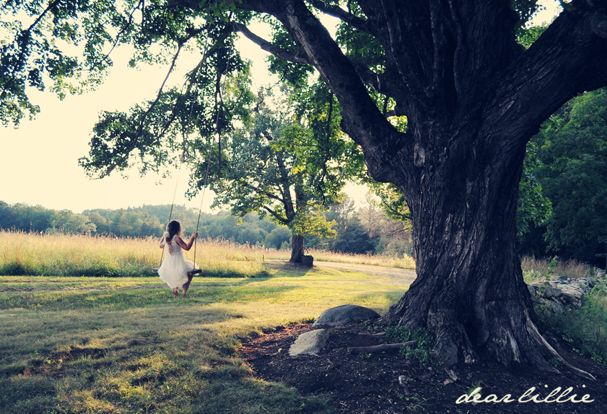 The Tree Swing and Photography Questions - Dear Lillie Studio