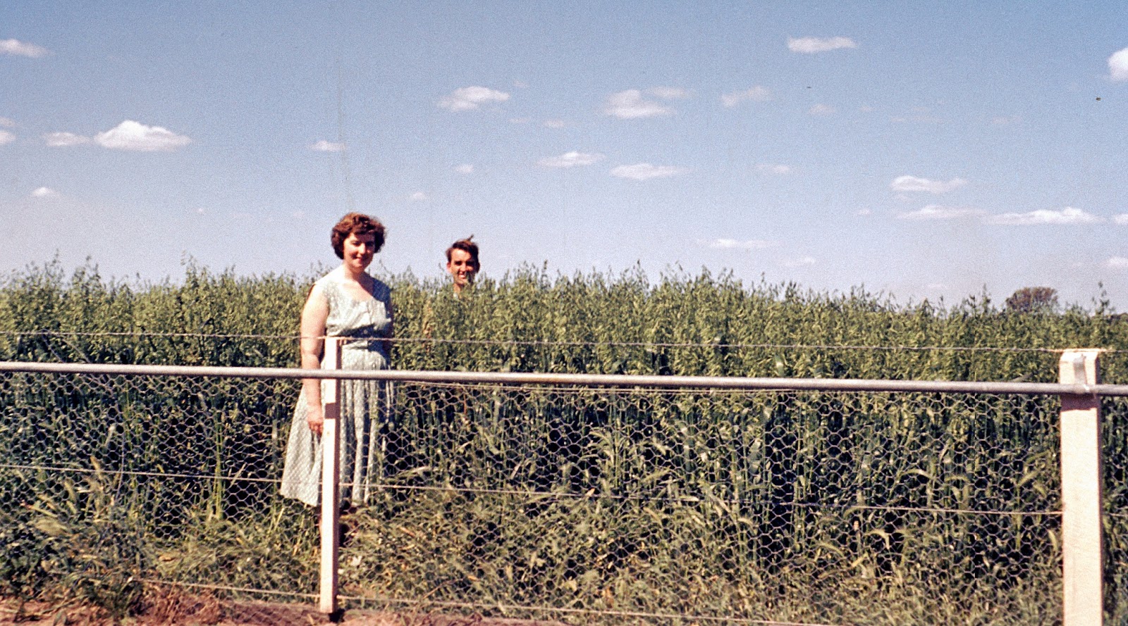 Wimmera...way back when: The woman and the farm