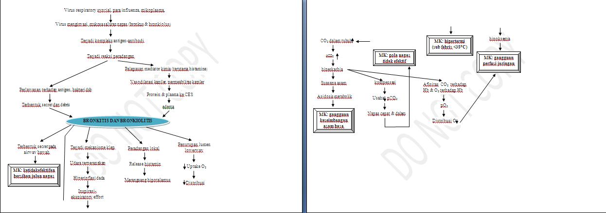 pathway bronkitis & bronkiolitis ~ Mantri Juga Racing