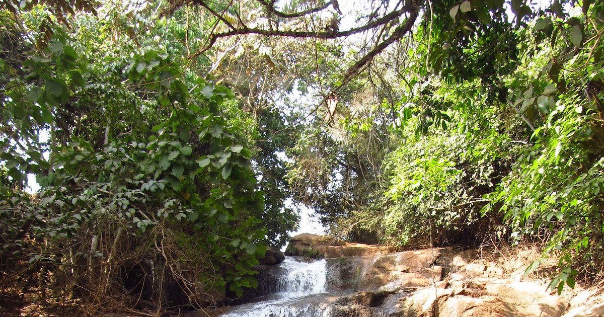 C'est La Vie Travel & Photography: Beautiful Dschang, Cameroon