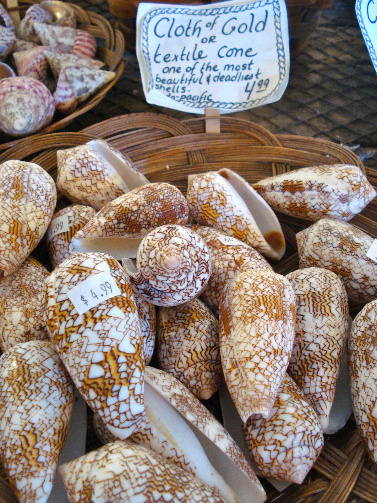 Alexandra D. Foster Destinations Perfected: Rockport, Massachusetts ...