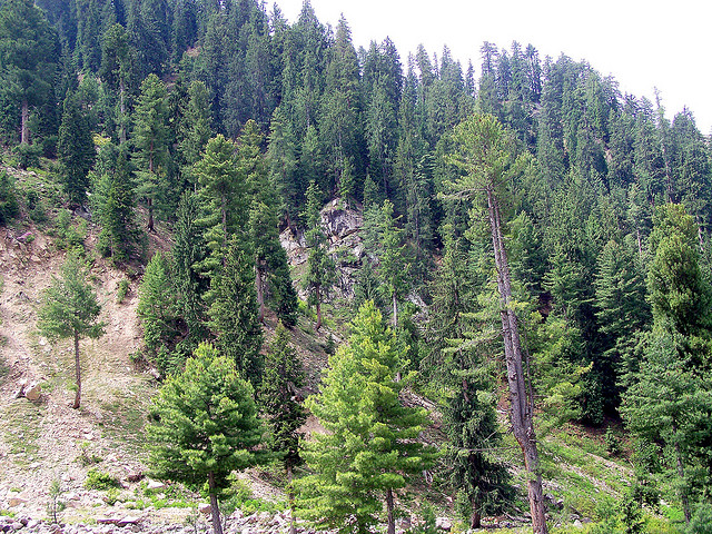 All Hazara News, Abbottabad News, Hazara News.: Khyber Pakhtunkhwa has ...