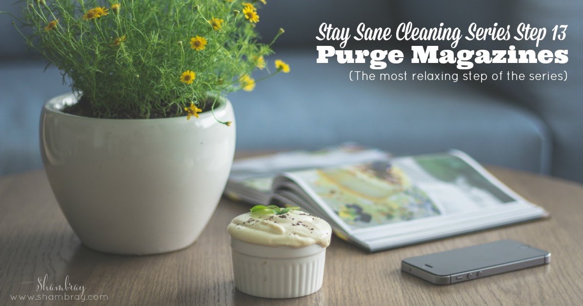 Shambray: Stay Sane Cleaning Series Step 13: Purge Magazines