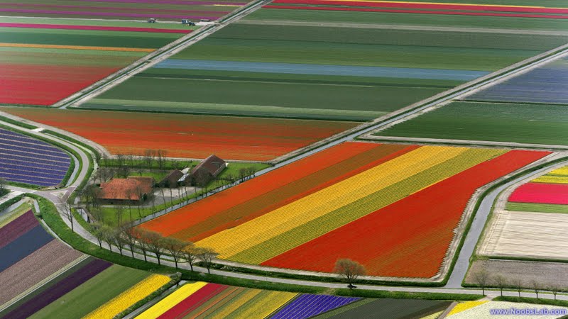 Best Webshots HD Wallpapers - NoobsLab | Eye on Digital World