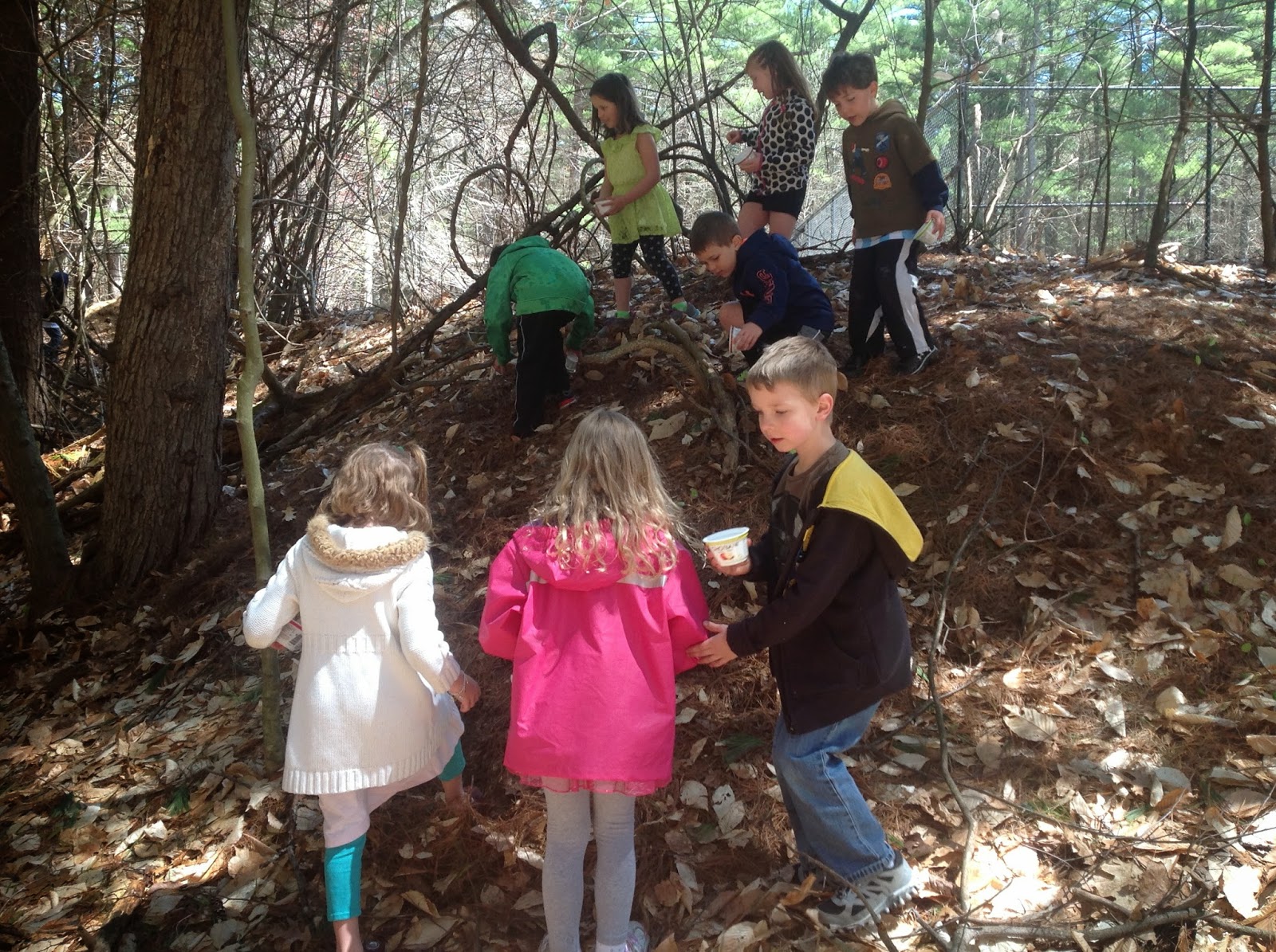 Mrs. Craven's Kindergarten: Living and Non-Living Nature Walk with Mr ...