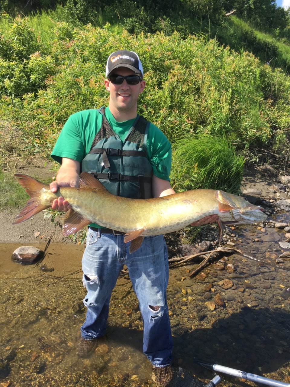 Northern Maine Ridge Runners and River Rats: Muskie Mania!!