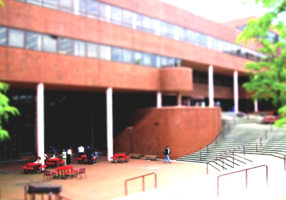 York College, City University Of New York - York College Physician ...